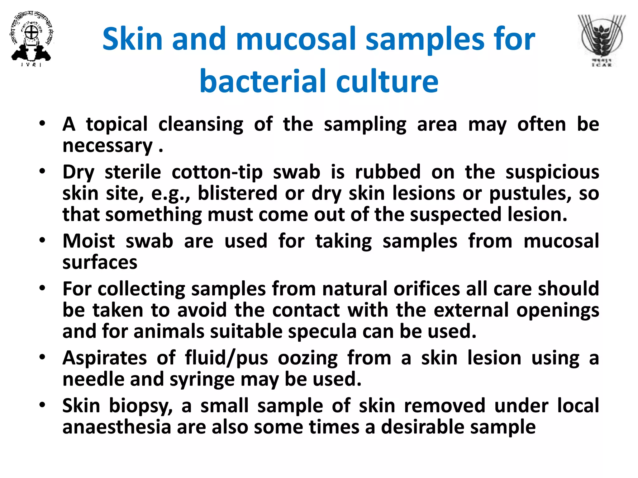 Clinical Microbiology in Laboratory | PPTX