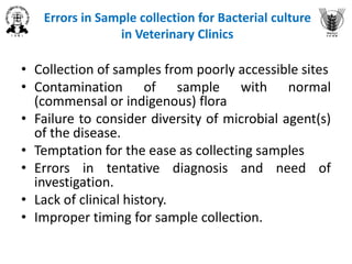 Clinical Microbiology in Laboratory | PPTX