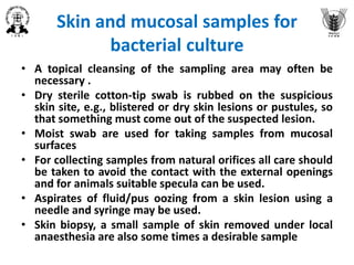 Clinical Microbiology in Laboratory | PPTX