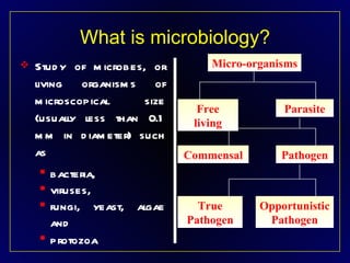Clinical Microbiology Presentation | PPT