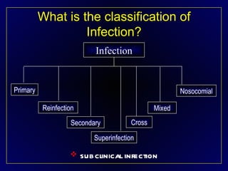 Clinical Microbiology Presentation | PPT