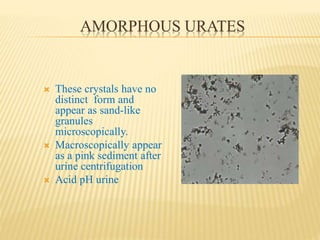 Clinical microscopy | PPTX