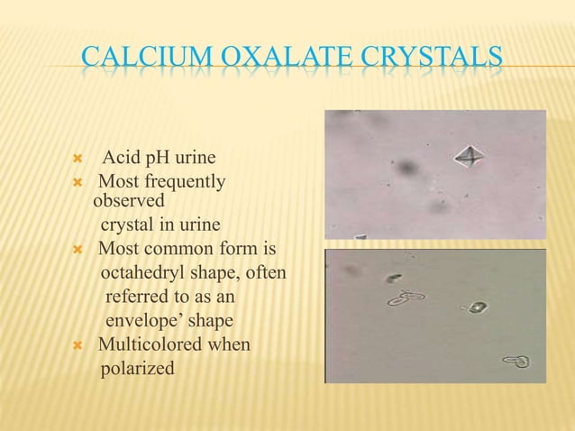 Clinical microscopy | PPTX