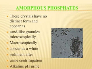 Clinical microscopy | PPTX
