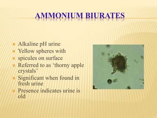 Clinical microscopy | PPTX