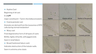 Clinical microscopy [Autosaved].pptx