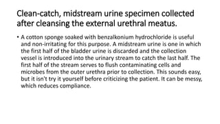 Clinical Microscopy CASE STUDY.pptx