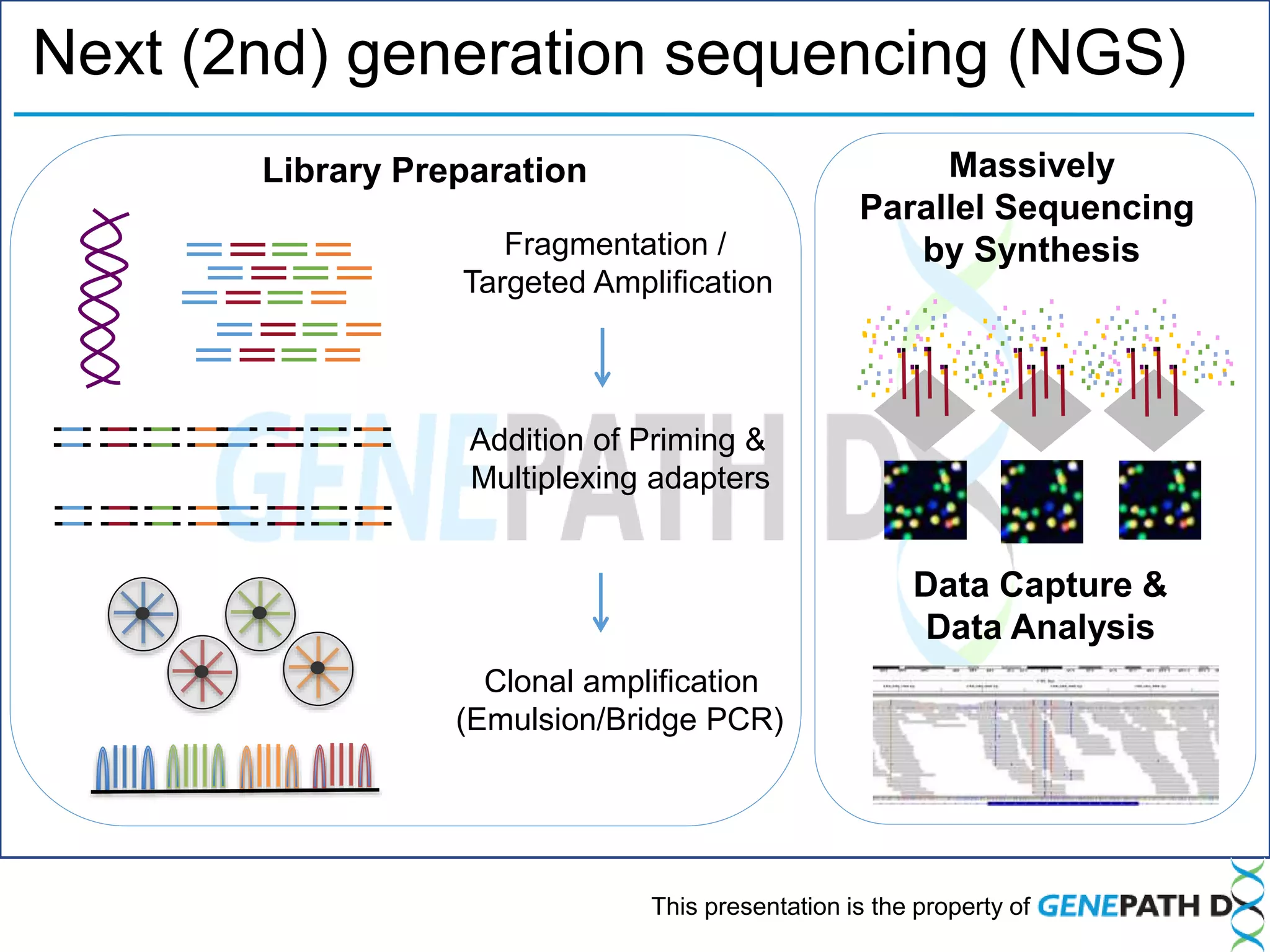 Clinical molecular diagnostics for drug guidance | PPT