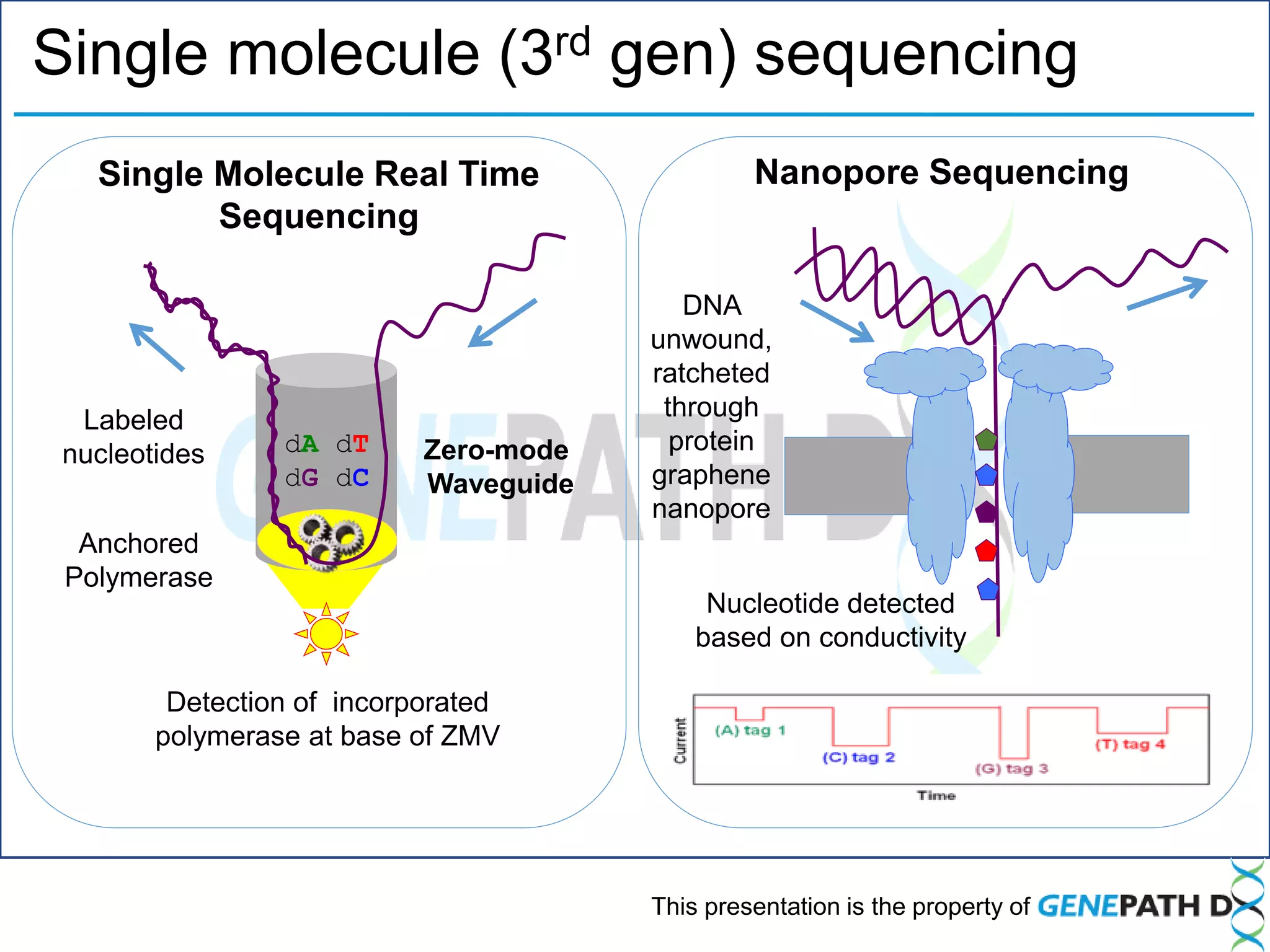 Clinical molecular diagnostics for drug guidance | PPTX