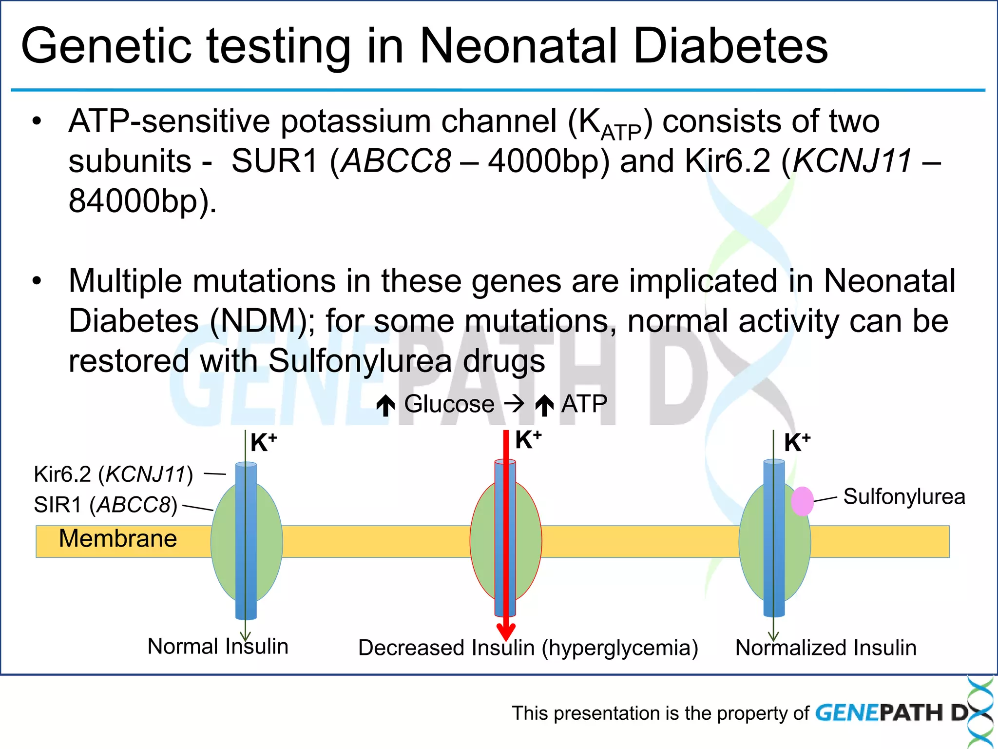 Clinical molecular diagnostics for drug guidance | PPTX