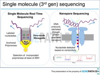 Clinical molecular diagnostics for drug guidance | PPT