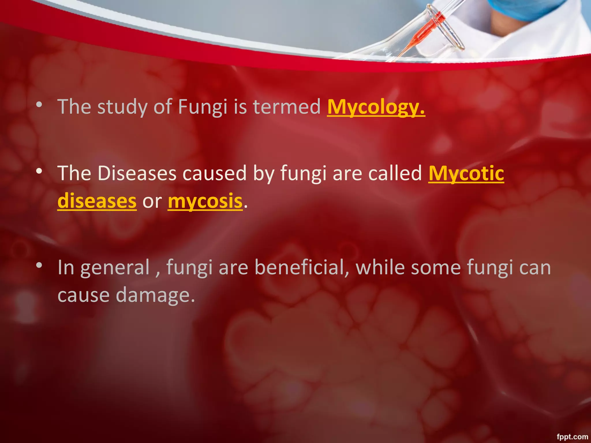 Clinical mycology and actinomycetes | PPT