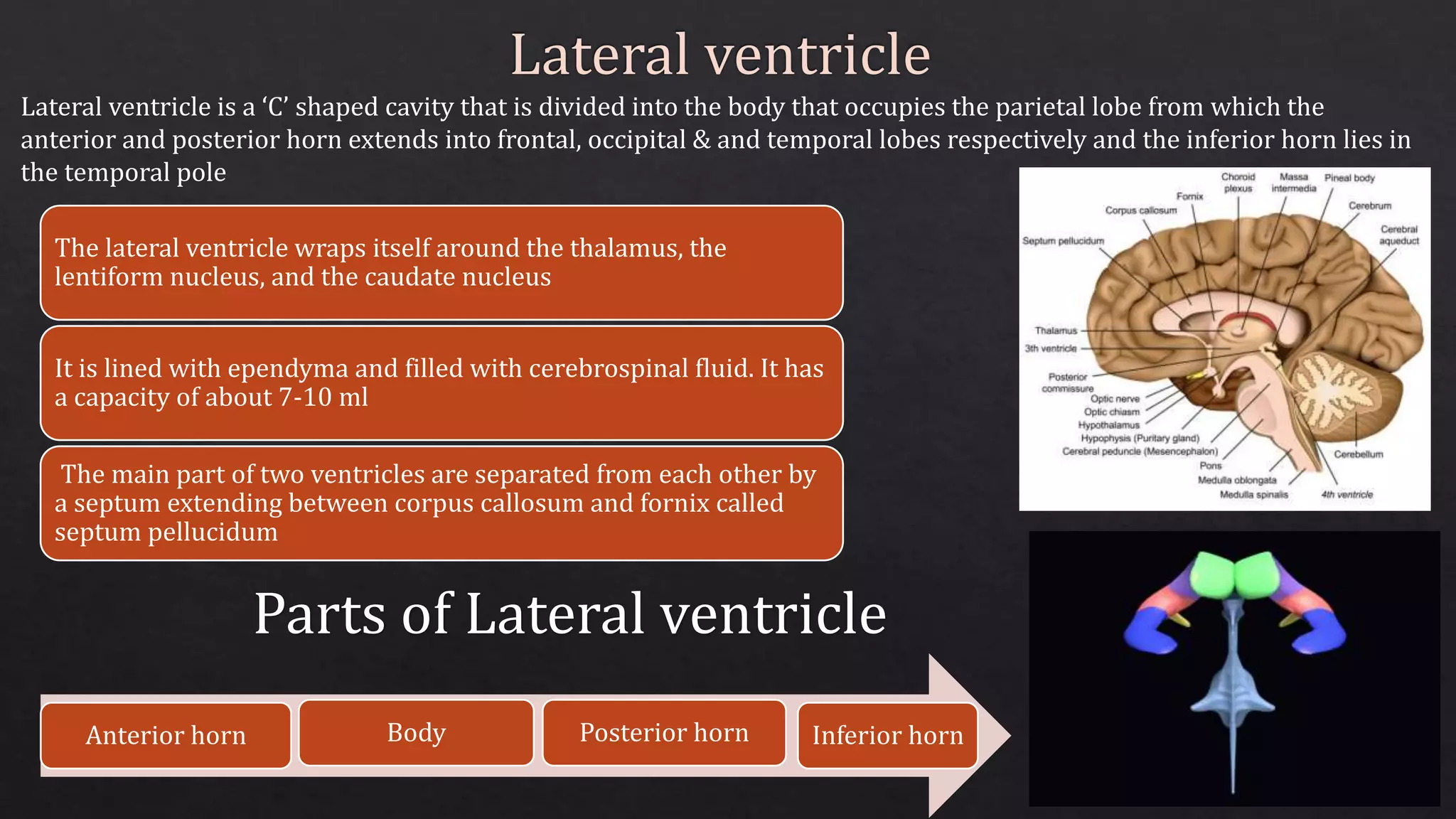 clinical Neuroanatomy_of_ventricular_system_ and CSF suparna[1]-1.pptx
