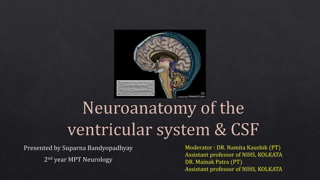 clinical Neuroanatomy_of_ventricular_system_ and CSF suparna[1]-1.pptx