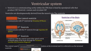 clinical Neuroanatomy_of_ventricular_system_ and CSF suparna[1]-1.pptx