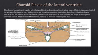 clinical Neuroanatomy_of_ventricular_system_ and CSF suparna[1]-1.pptx