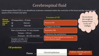 clinical Neuroanatomy_of_ventricular_system_ and CSF suparna[1]-1.pptx