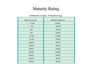Clinical neurological assessment and neonatal reflexes.pptx