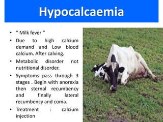 Clinical nutrition in cattle | PPSX