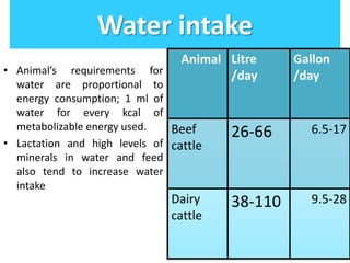 Clinical nutrition in cattle | PPSX
