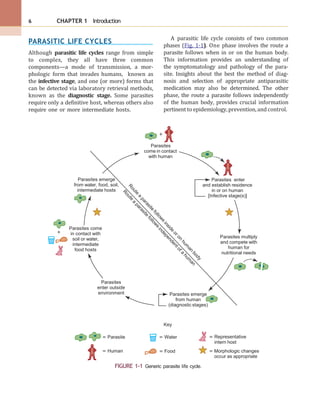 Clinical_Parasitology,_A_Practical-16-26.pptx