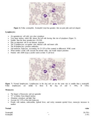 Clinical pathology | PDF