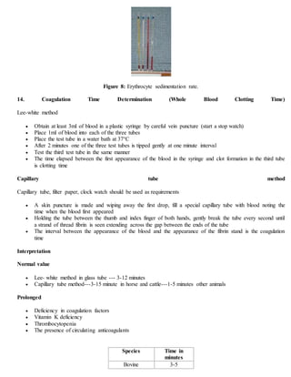 Clinical pathology | DOCX