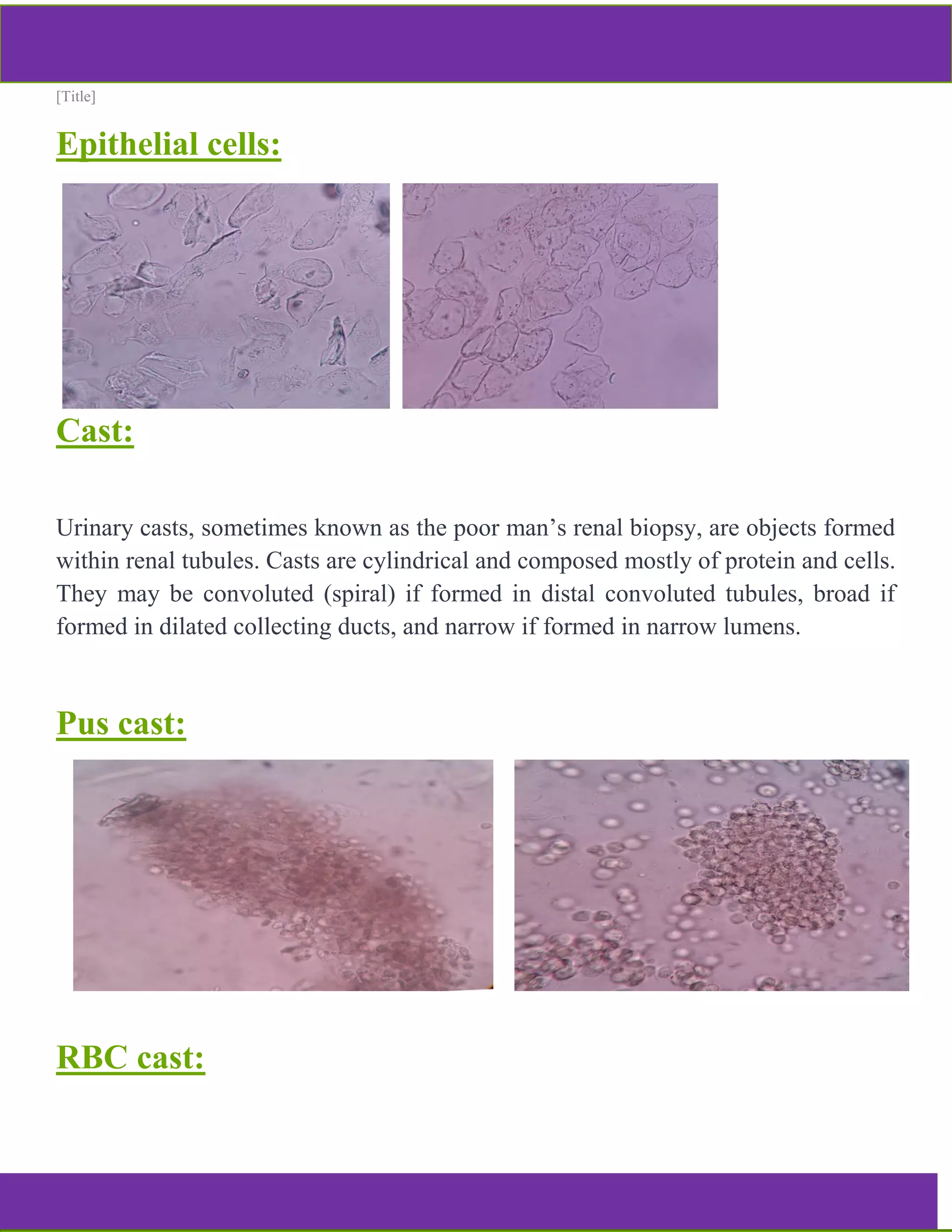 Clinical pathology Notes | PDF