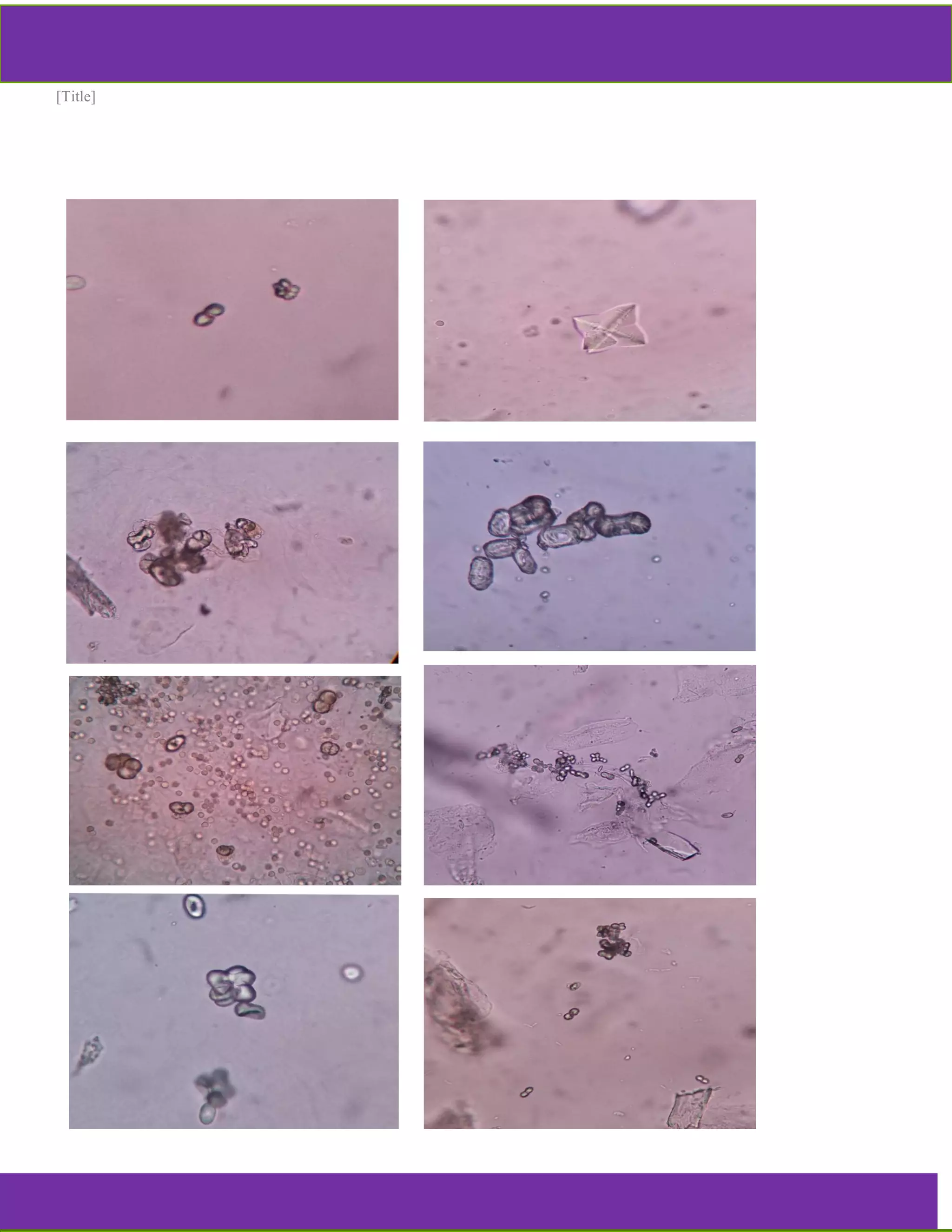 Clinical pathology Notes | PDF