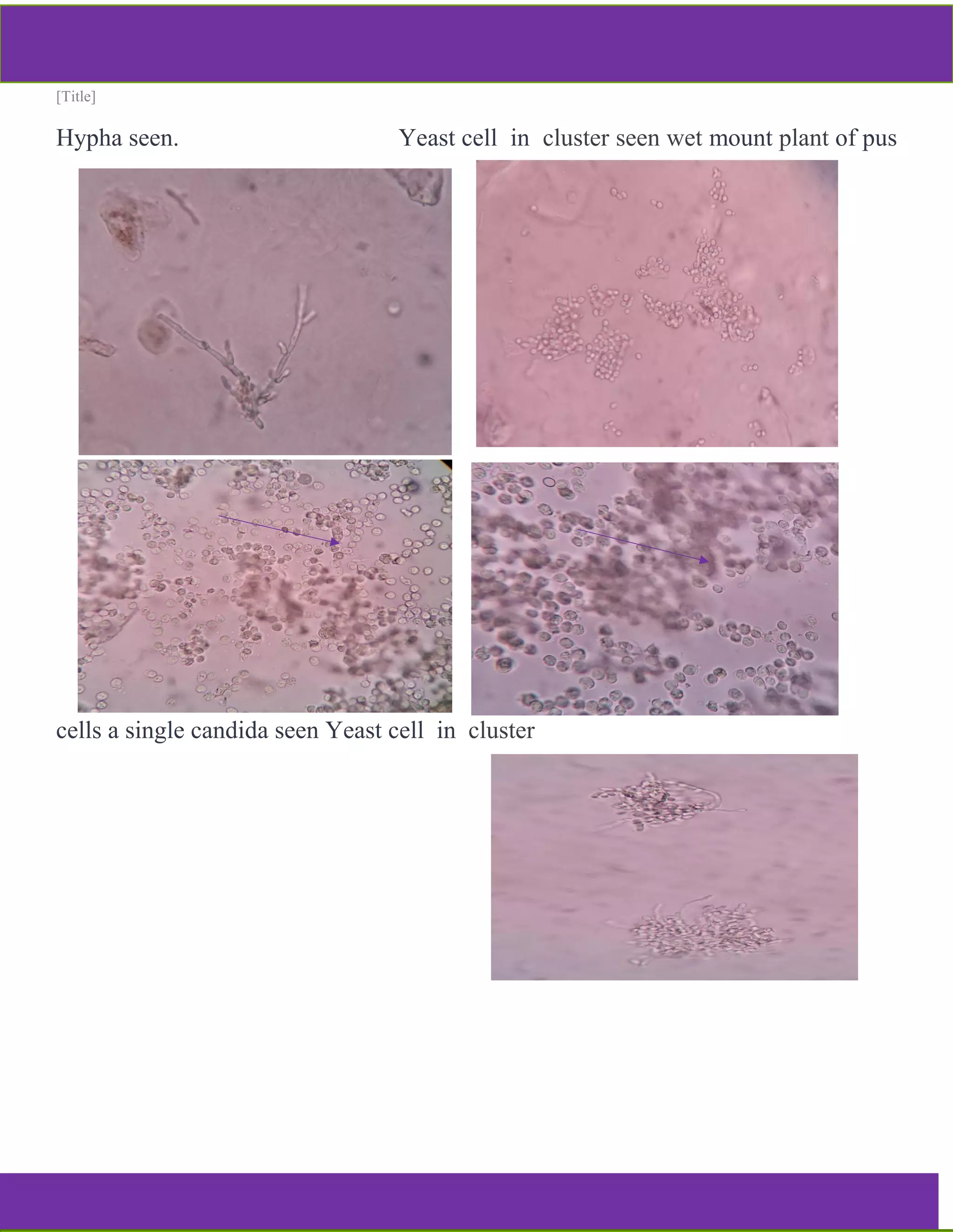 Clinical pathology Notes | PDF