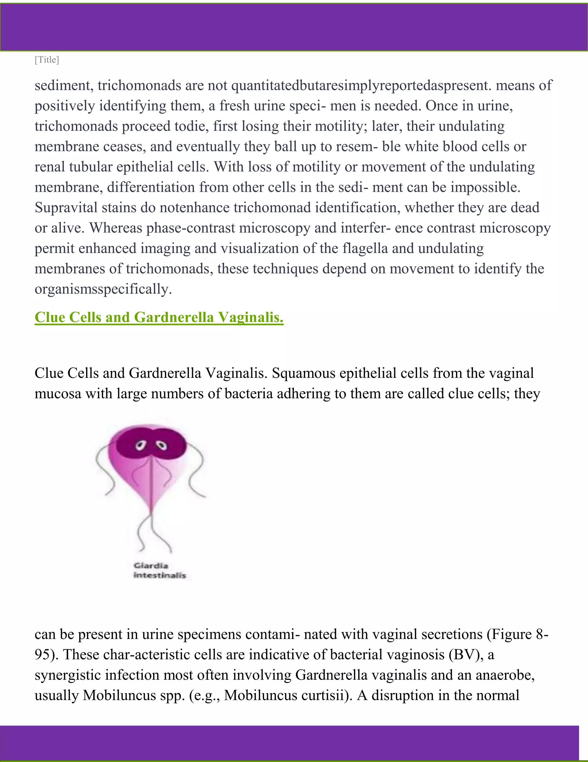 Clinical pathology Notes | PDF
