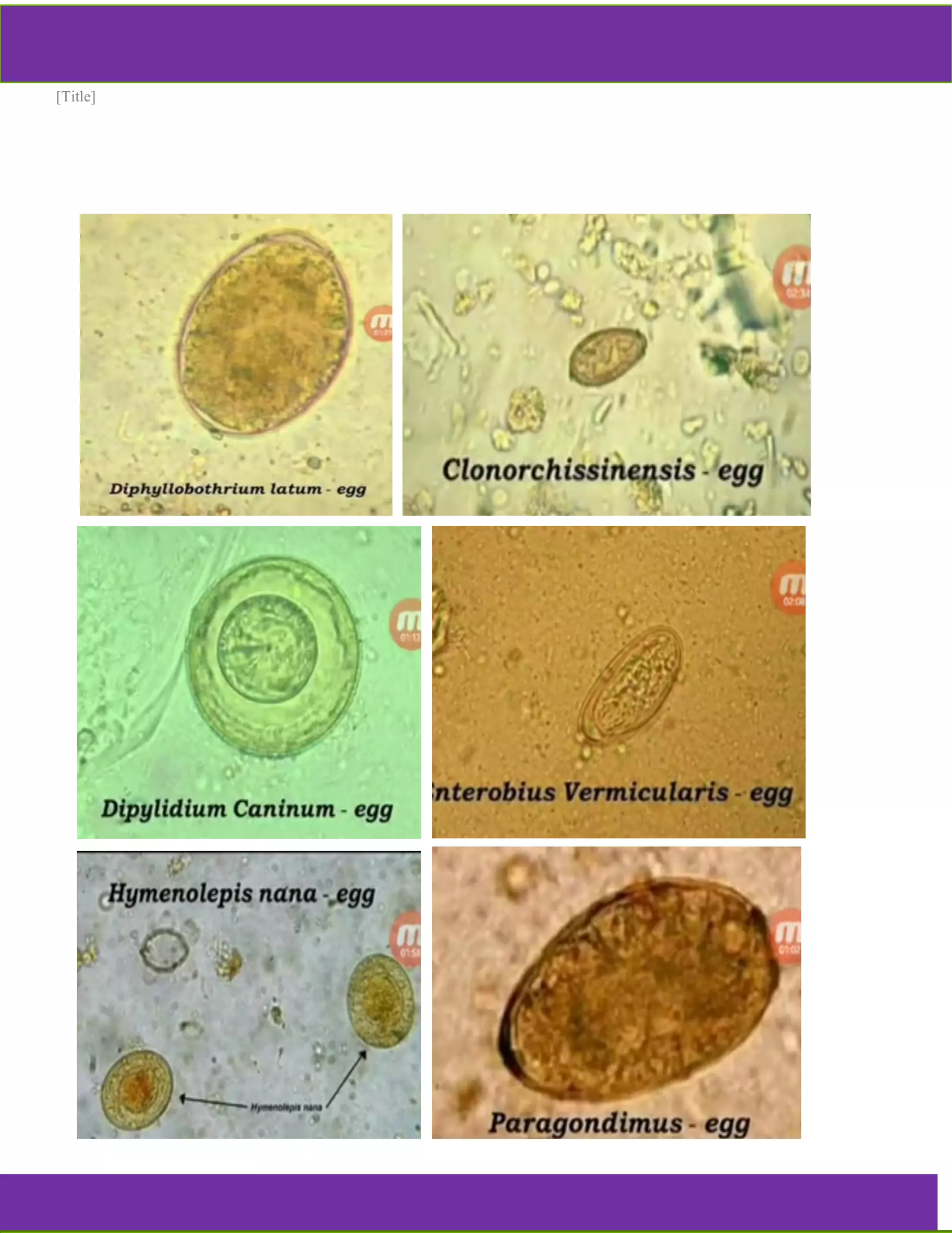 Clinical pathology Notes | PDF