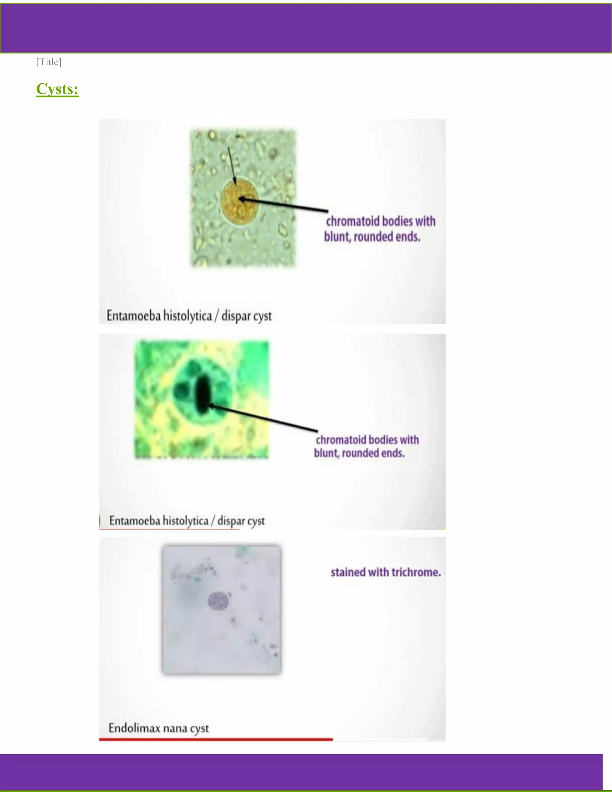 Clinical pathology Notes | PDF
