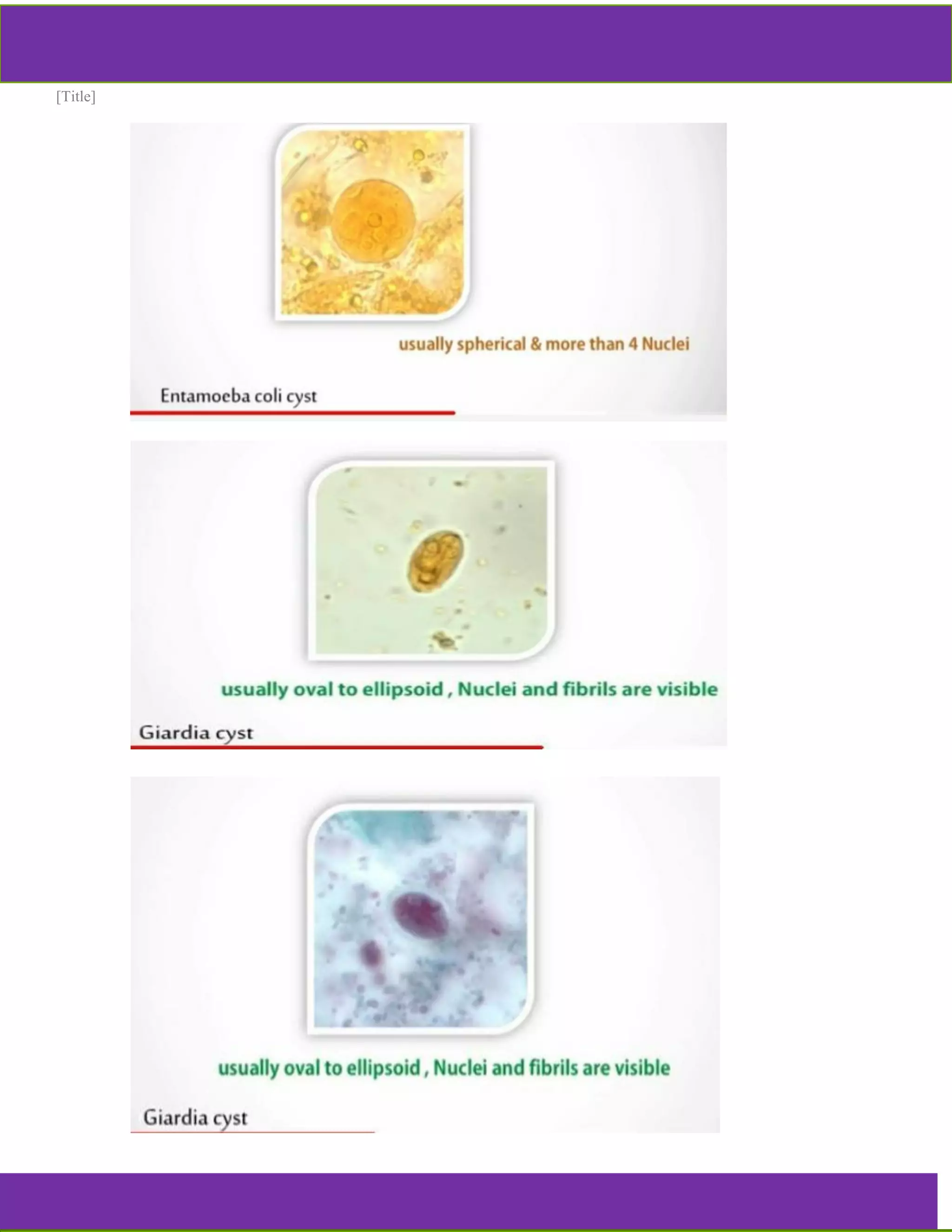 Clinical pathology Notes | PDF