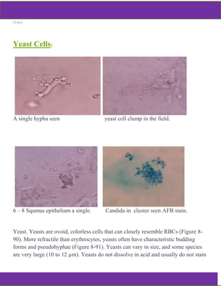 Clinical pathology Notes | PDF