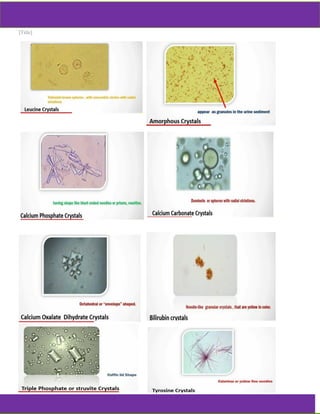 Clinical pathology Notes | PDF