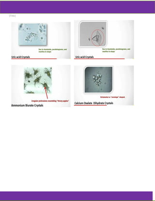 Clinical pathology Notes | PDF
