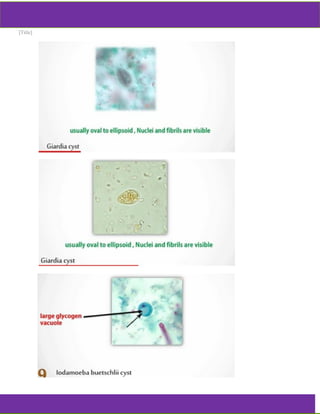 Clinical pathology Notes | PDF