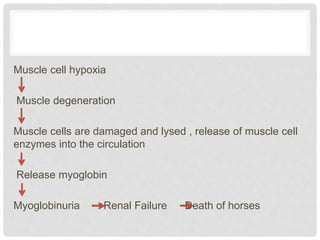Clinical pathology case | PPTX | Blood Disorders | Diseases and Conditions