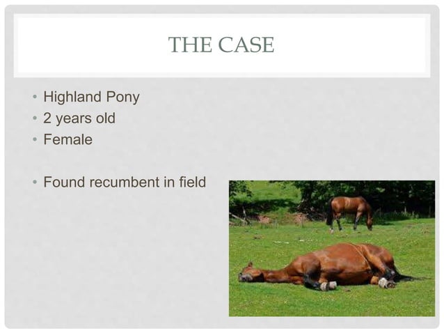 Clinical pathology case | PPTX | Blood Disorders | Diseases and Conditions