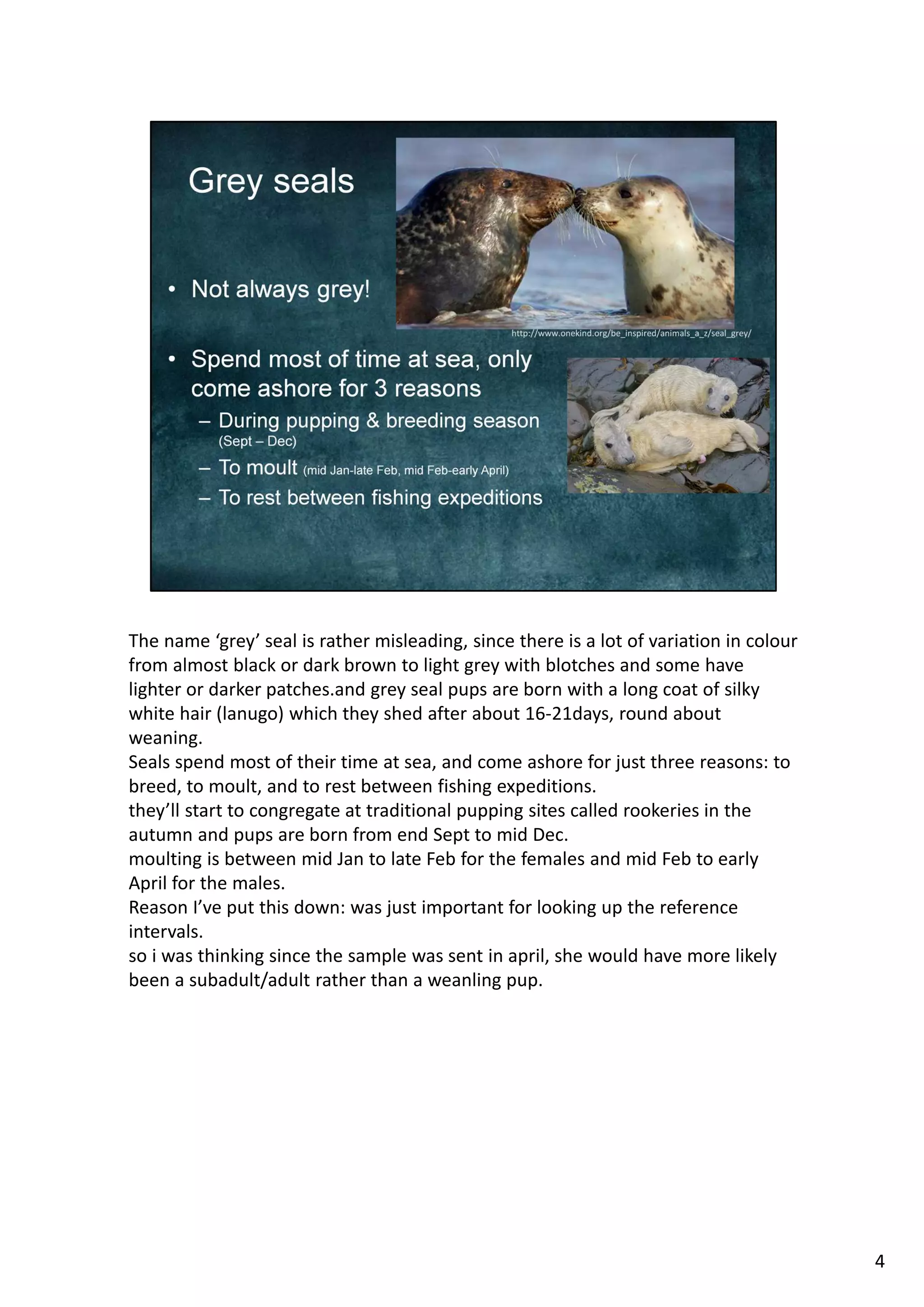 Clinical pathology case presentation | PDF | Blood Disorders | Diseases ...