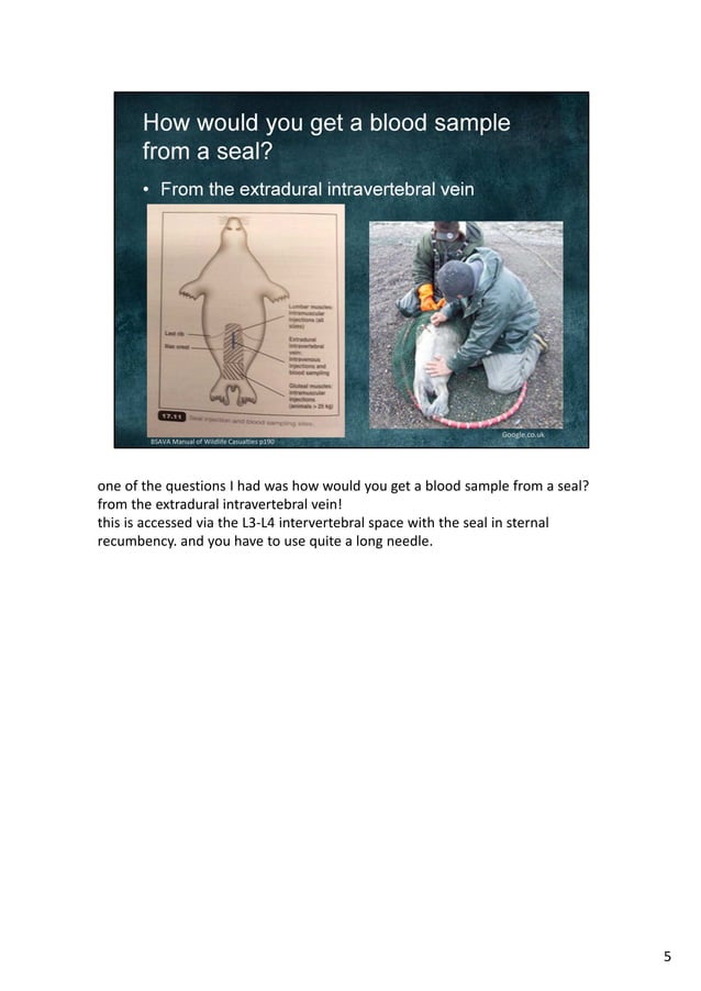 Clinical pathology case presentation | PDF | Blood Disorders | Diseases ...