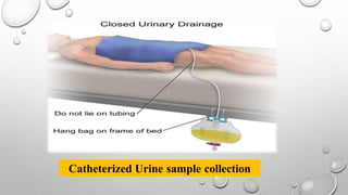 clinicalpathologyppt-220319134410.pptx