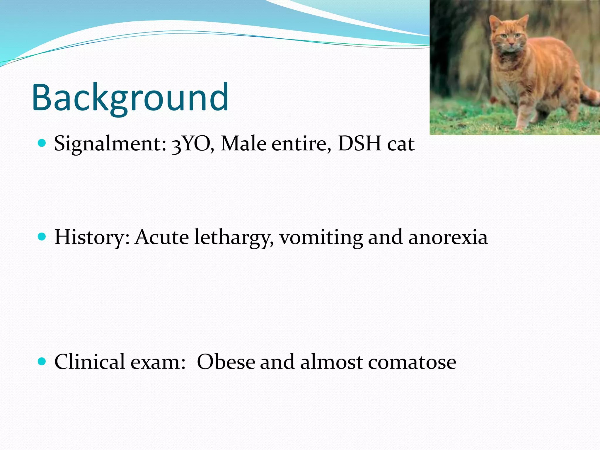 Clinical Pathology Presentation | PPTX