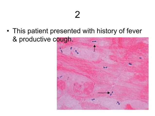 Clinical pathology spots for final MBBS | PDF