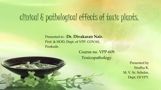 Clinical pathophysiology f toxic plants | PPT