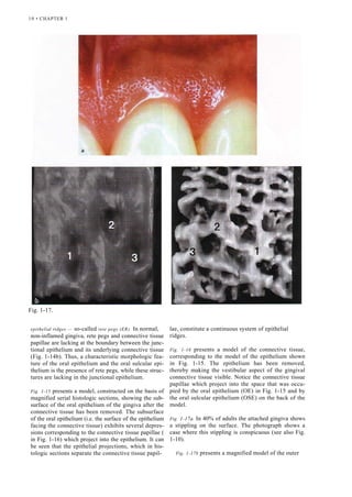 Clinical periodontology and implant dentistry 2003.pdf