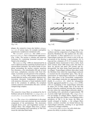 Clinical periodontology and implant dentistry 2003.pdf