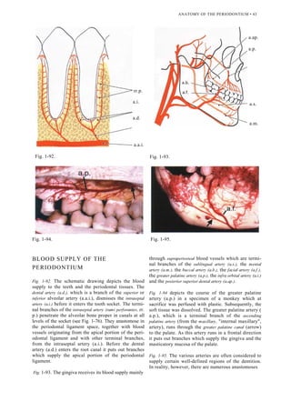 Clinical periodontology and implant dentistry 2003.pdf