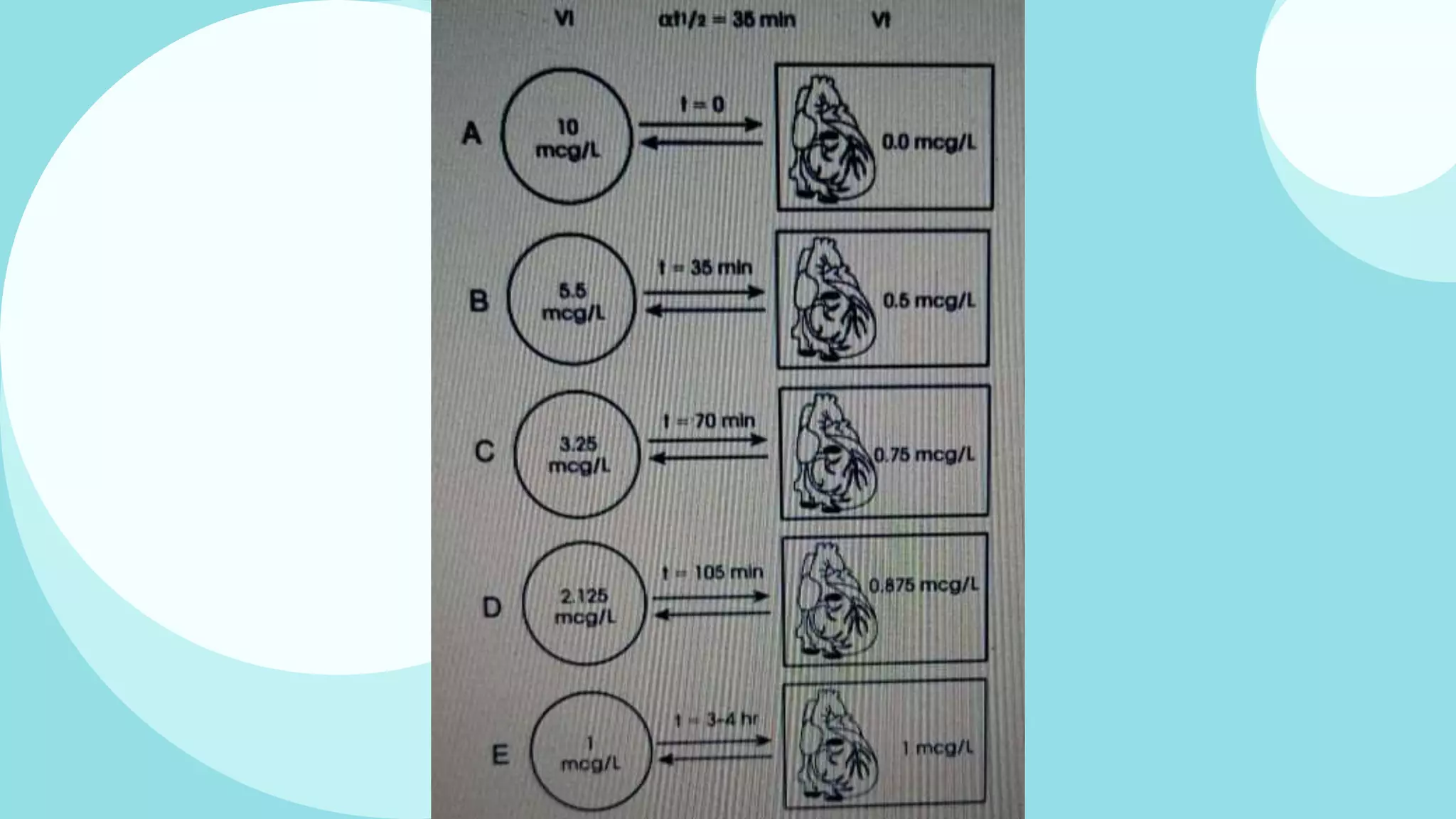 Clinical pharmacokinetic aspects of digoxin | PPT